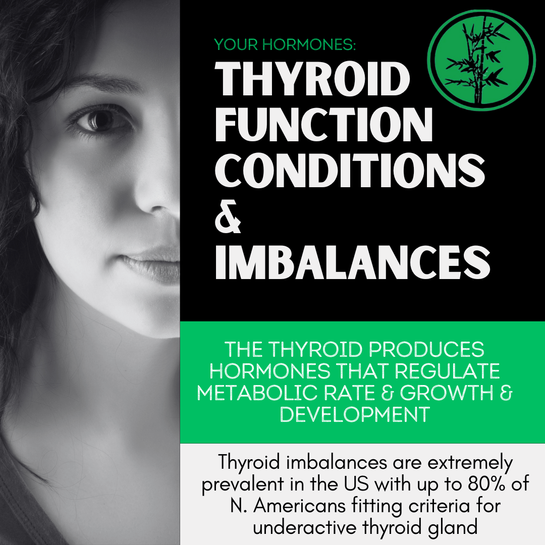 Thyroid function, Imbalances & How Acupuncture Can Help Rebalance the ...